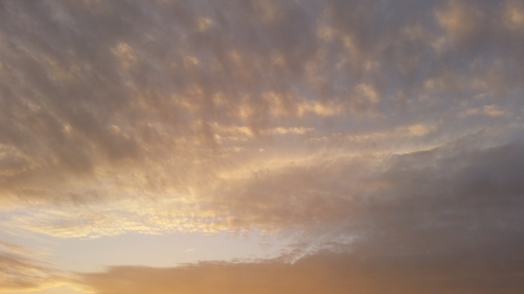 20141102_161442
