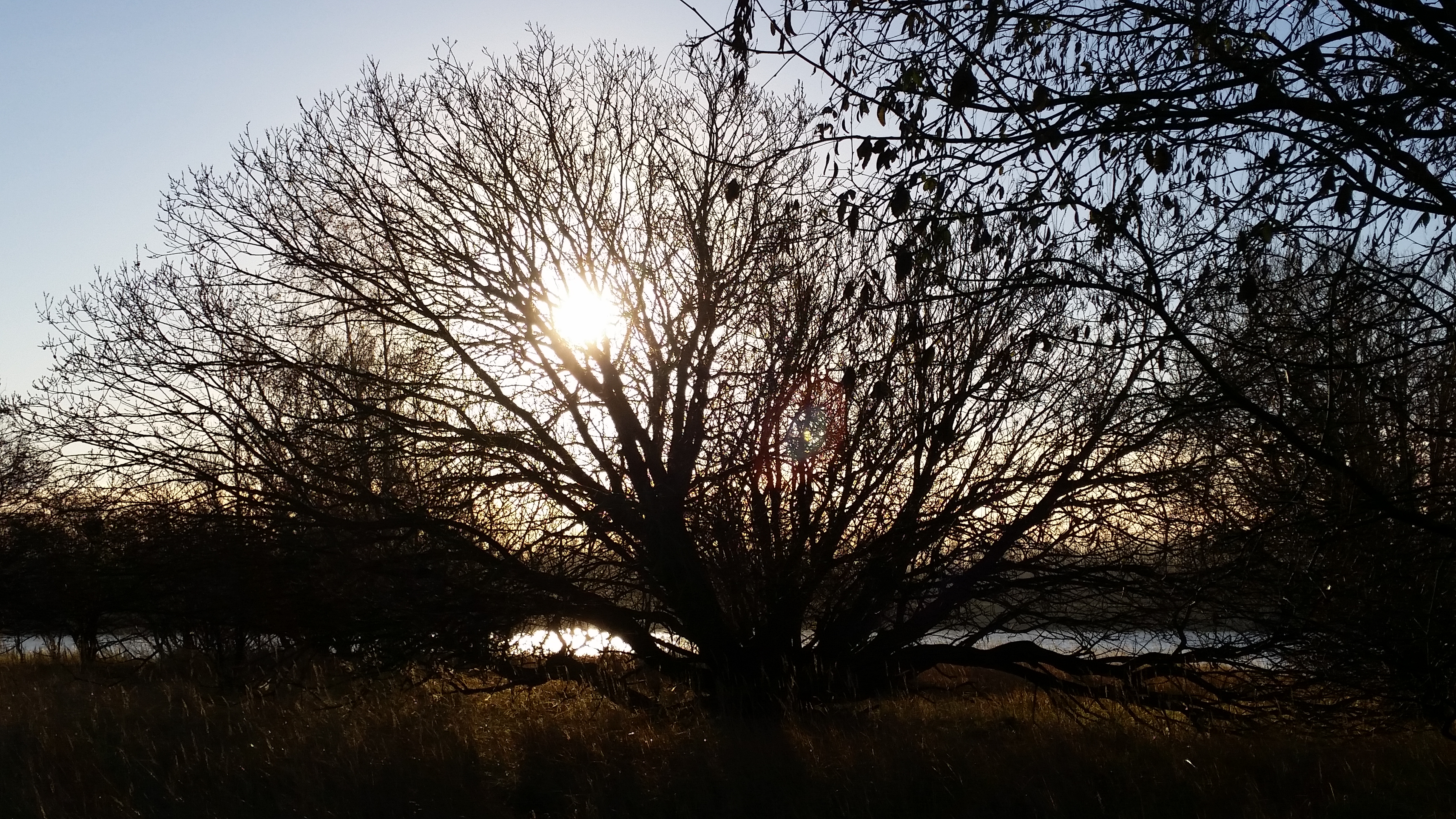20161124_093727