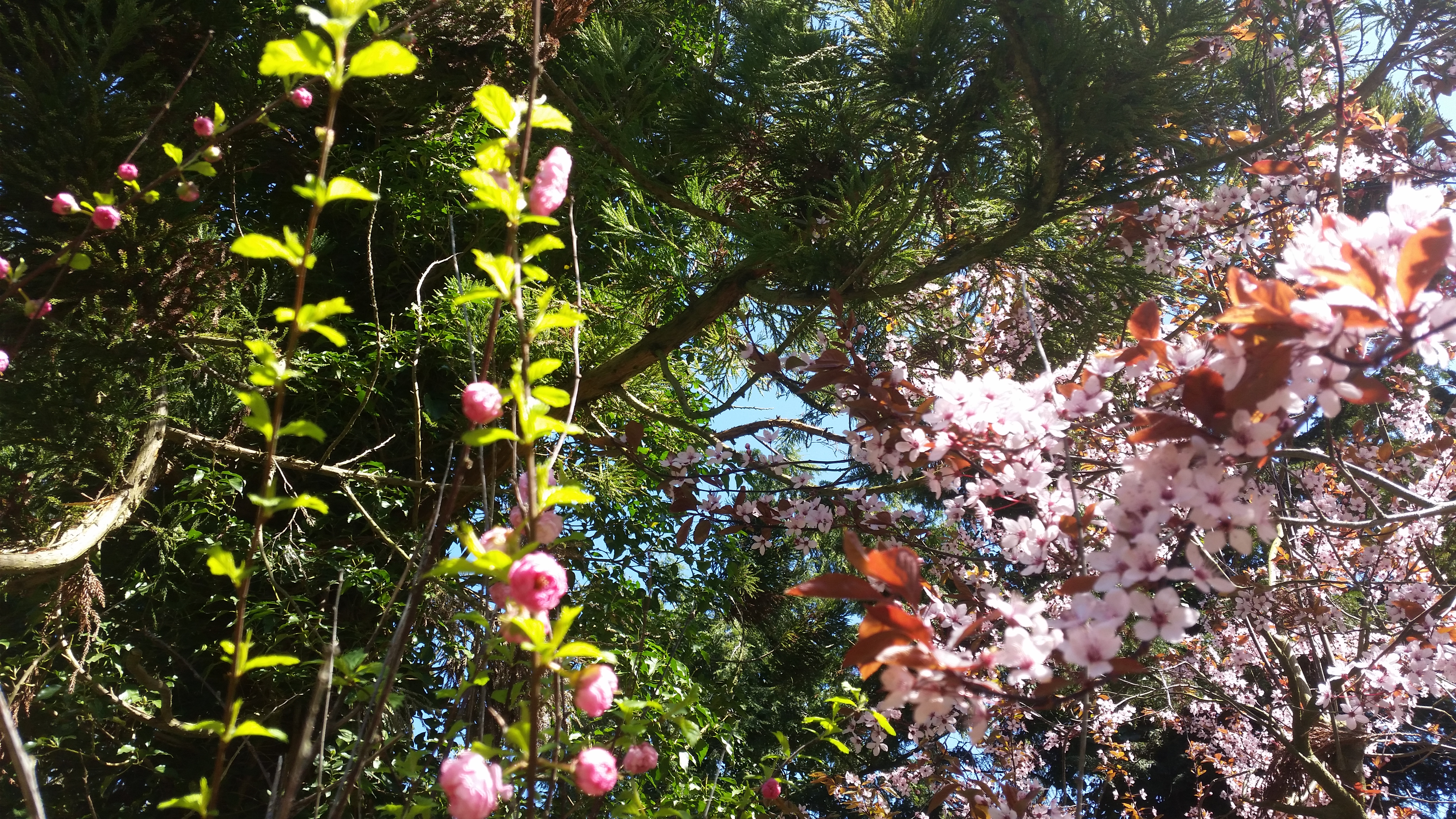 20180502_124841
